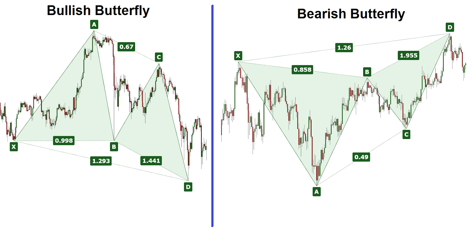 Sử dụng mô hình Cánh Bướm (Butterfly Pattern) trong phân tích kĩ thuật ...