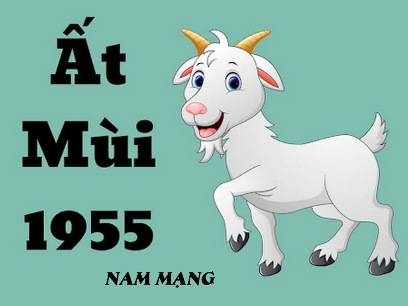 Chi tiết tử vi tuổi Ất Mùi 1955 nam mạng năm 2026