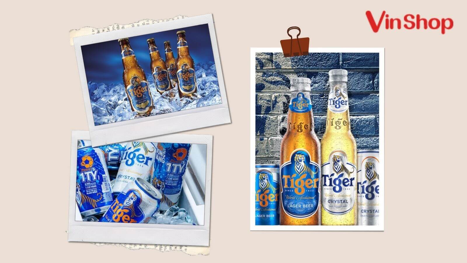 TOP 5 đại lý bia Tiger giá tốt nhất trên thị trường