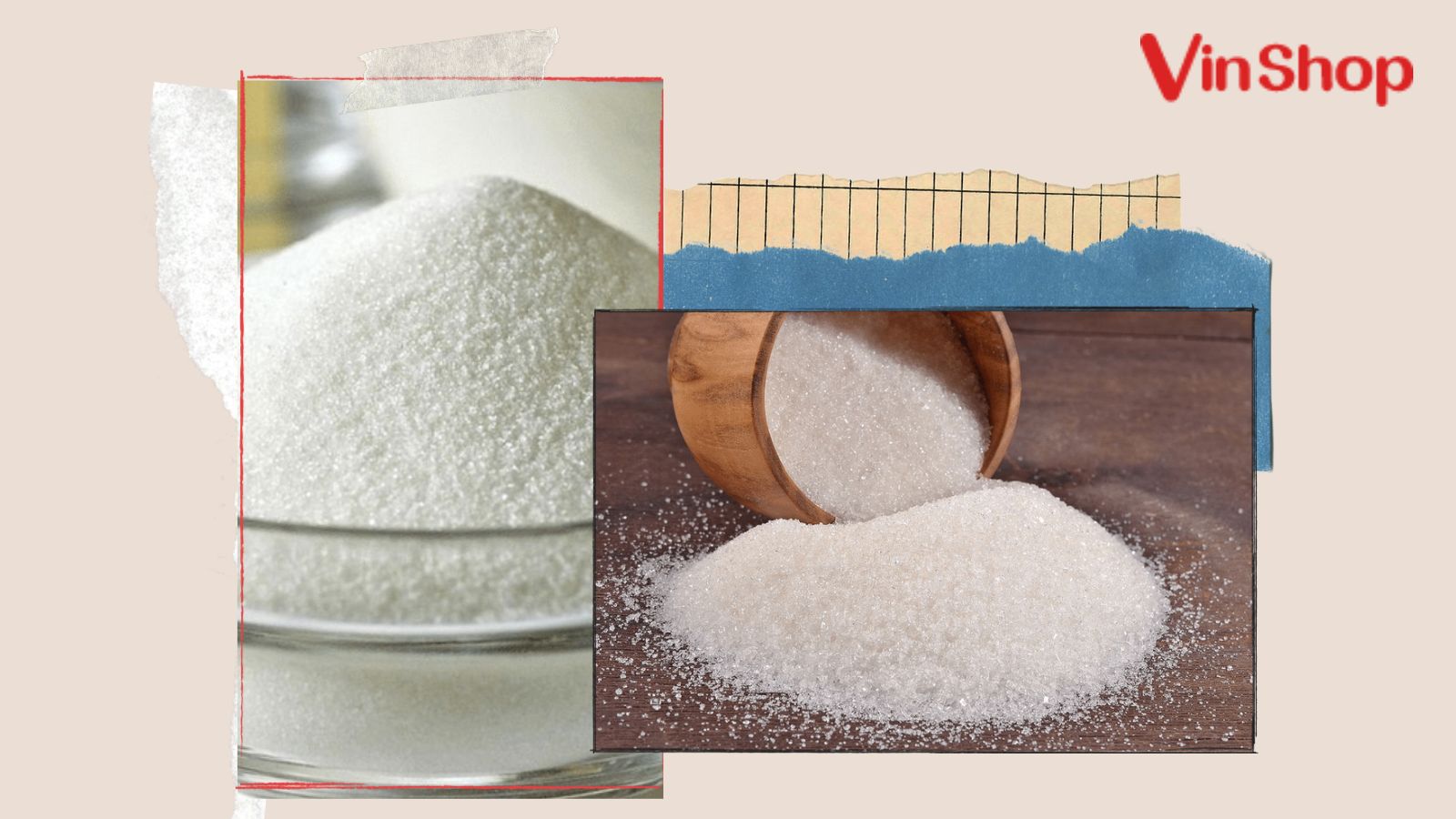 TOP 5 địa chỉ mua đường cát trắng giá sỉ, nhiều ưu đãi