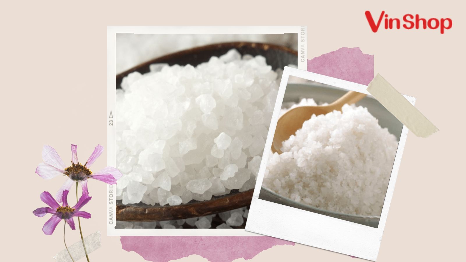 TOP 7 công ty cung ứng muối hột giá sỉ uy tín nhất